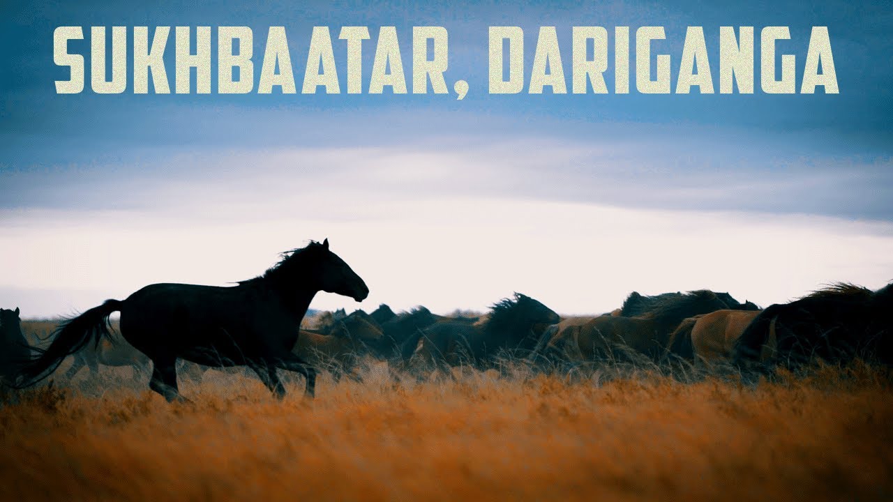 Mongolia, Sukhbaatar Dariganga #horseman 2023 - YouTube