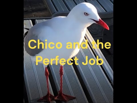 Chico and the Perfect Job - YouTube