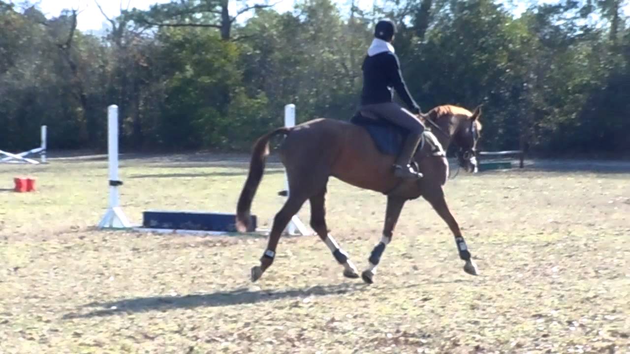 Sarah and Zander warm up in Aiken.MOV - YouTube