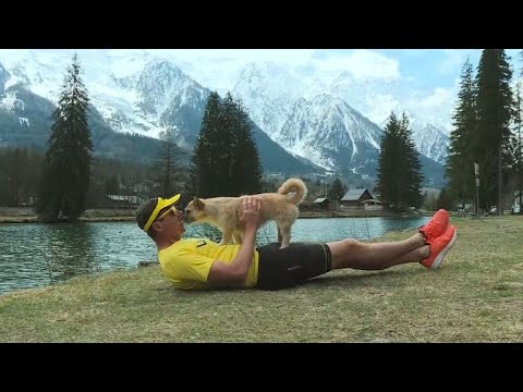 Gobi the dog takes part in Paris marathon - YouTube