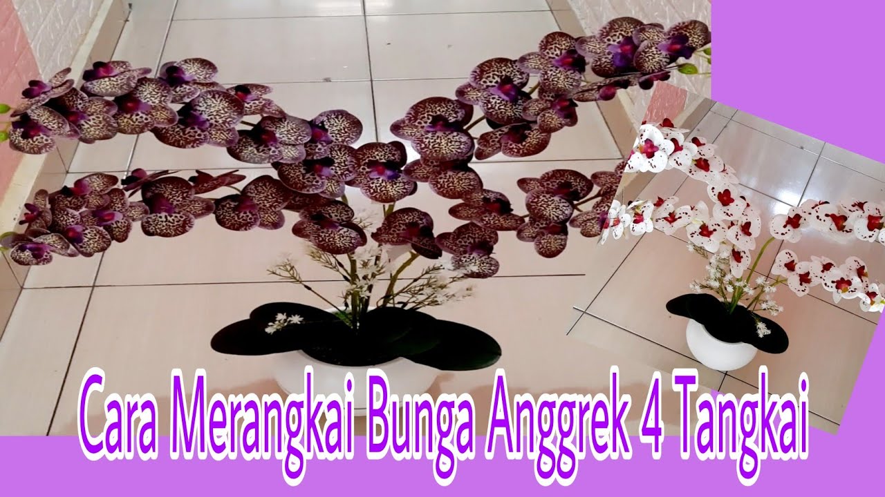Cara Merangkai Bunga Anggrek 4 Tangkai II Merangkai bunga Anggrek ...