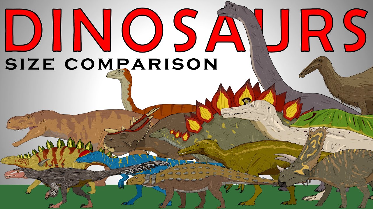 Giganotosaurus Size Comparison My Size Chart For The Megatheropods