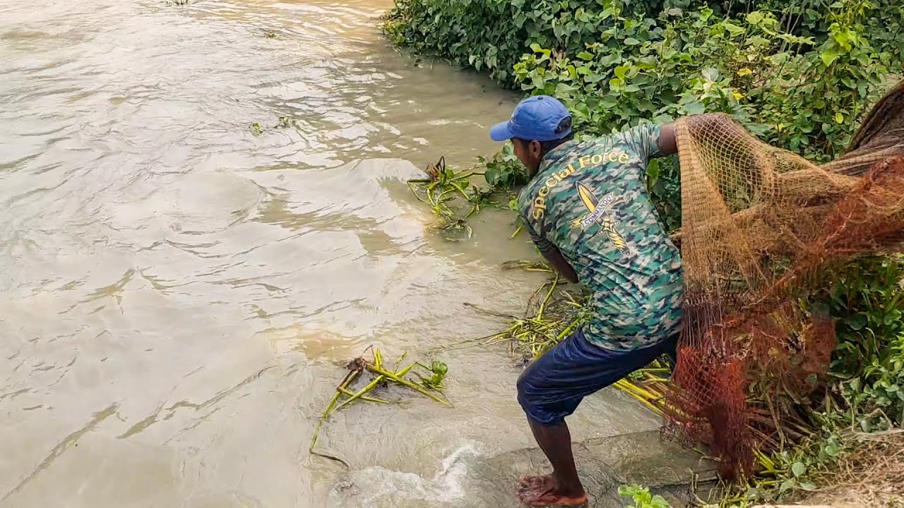 জোয়ারের তীব্র স্রোতে ঝাঁকি জাল দিয়ে মাছ ধরা || Fishing with gill nets ...