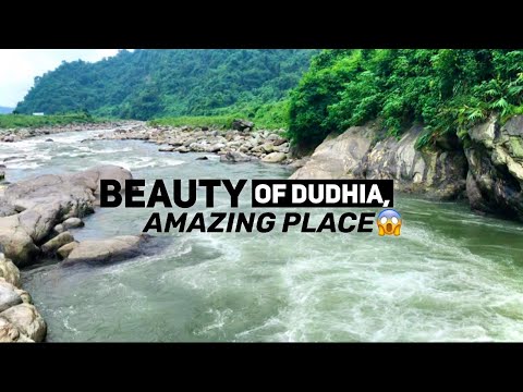 SILIGURI TO DUDHIA || BEAUTY OF UPPER DUDHIA || EXPLORING MOUNTAINS ...