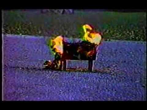 Exploding Sheep - YouTube