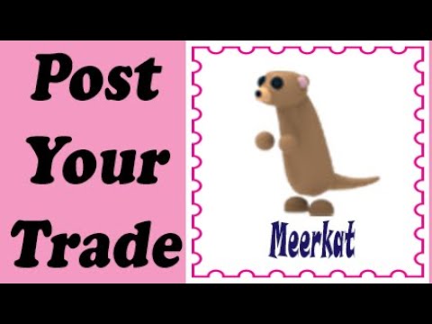 Meerkat | TRADE | UNCOMMON PETS | Adopt Me | Roblox | #roblox #adoptme ...