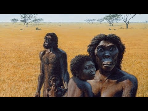 Homo Erectus Documentary | Ancient Human - YouTube