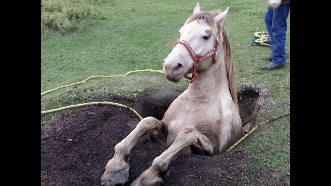 Something Different Rocksmith 2014 Remastered - YouTube