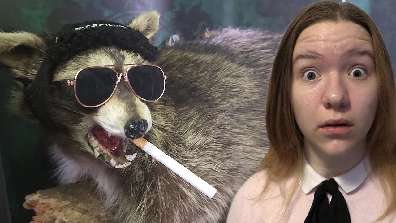 WHY IS THIS RACCOON SMOKING?! - YouTube