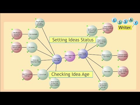Idea Status, and Most Recent Edit Age, of Essay Writer Ideas