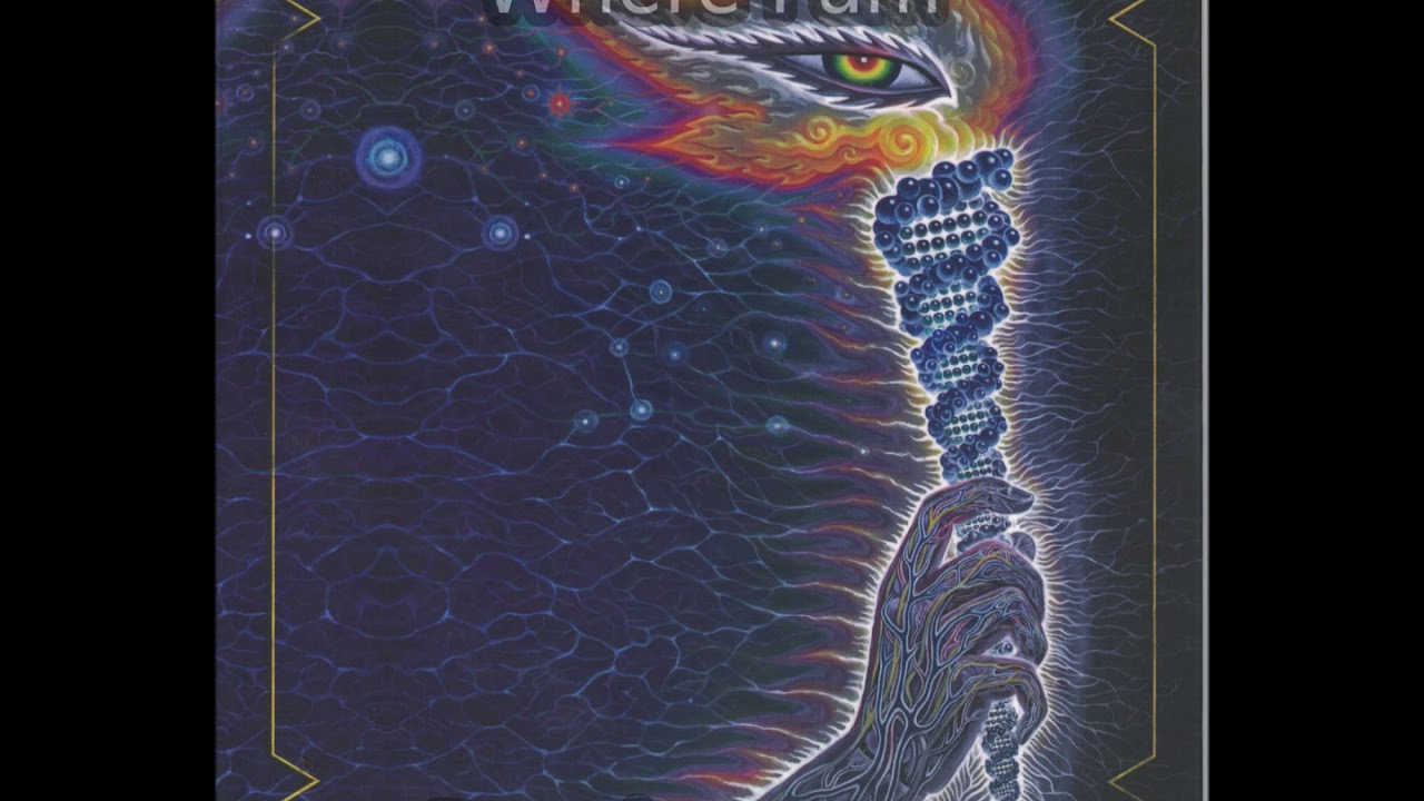 TOOL - Invincible (Sub Español/Inglés) [LIVE] - YouTube