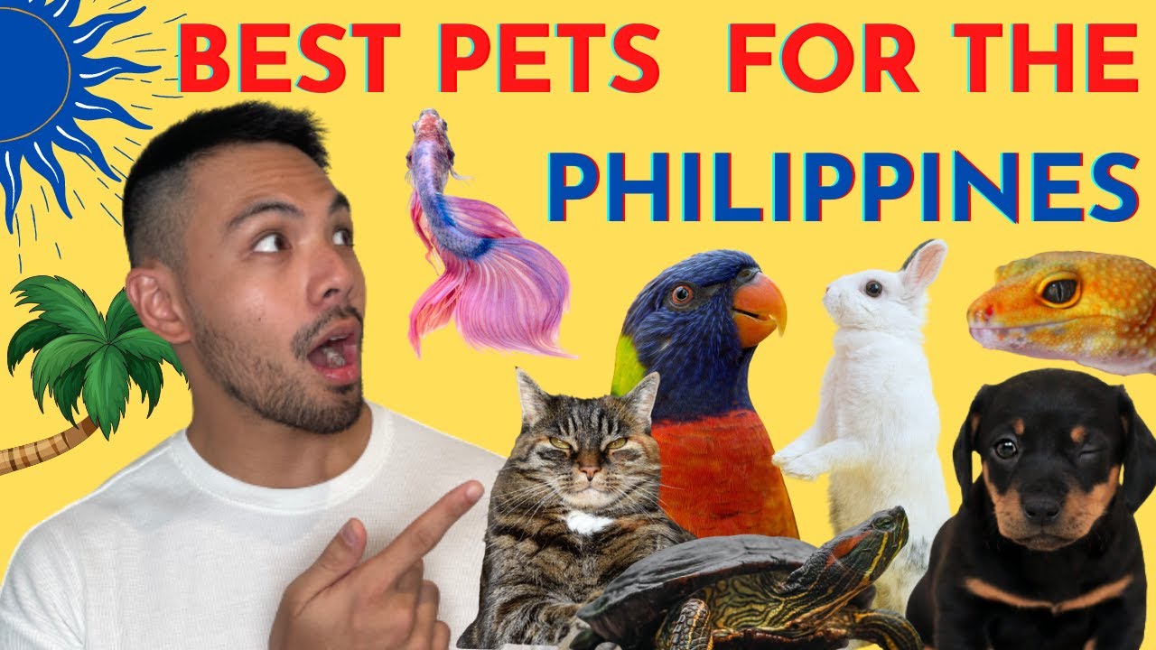 Watch this BEFORE getting a PET in the PHILIPPINES | Fauna Fam - YouTube