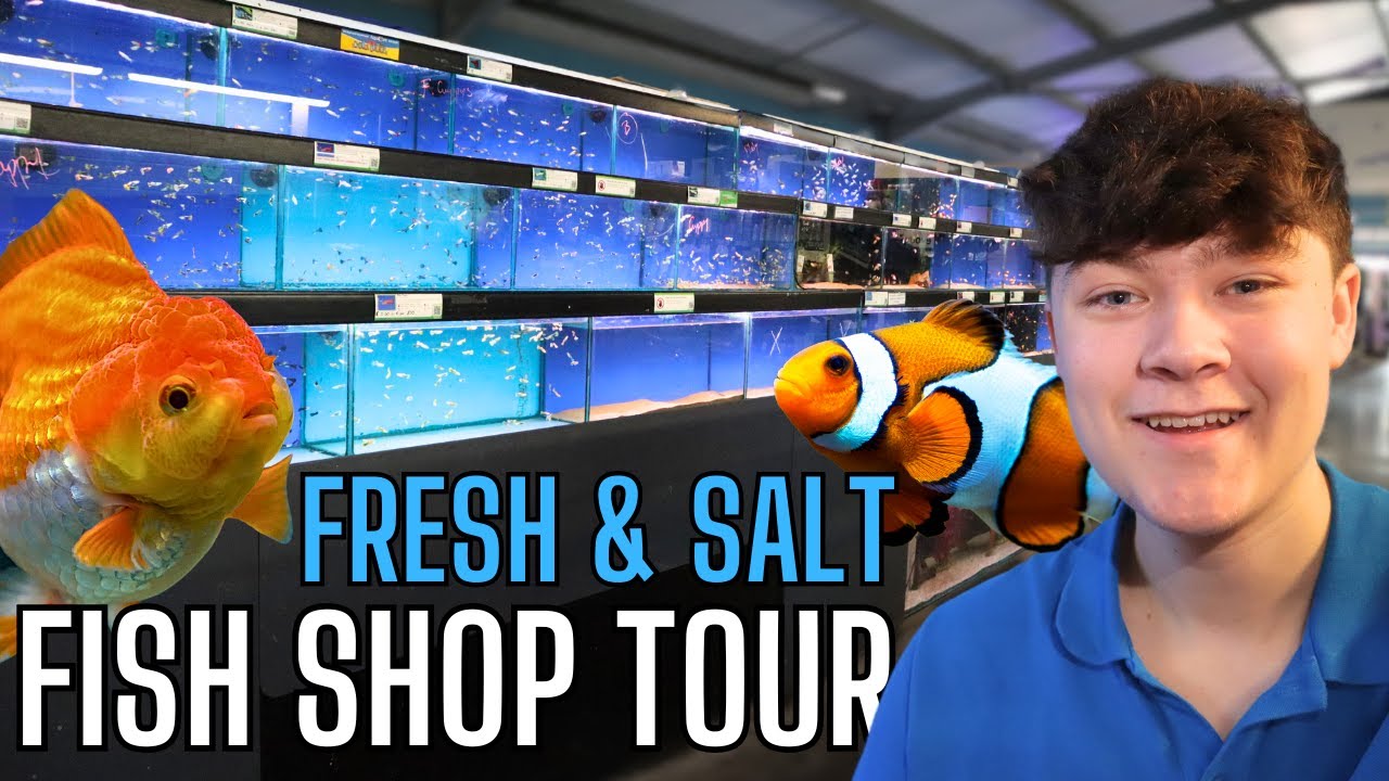 INCREDIBLE Fish STORE W/ BOTH Freshwater And Saltwater FISH ...