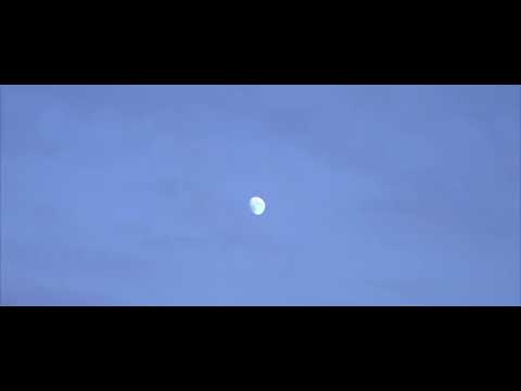 Pierrot le Fou 1965 Turkish Subtitles