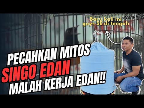 SINGO EDAN BANTAH MITOS! MAIN DI TENGAH TAMBAH EDAN! - YouTube