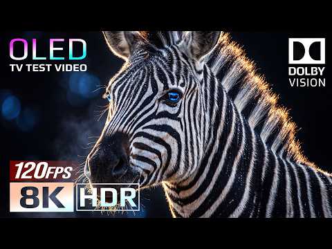 Masterpiece Oled 16K Testi | 16K Hdr Dolby Vision 120Fps (4K/8K Video Tv)
