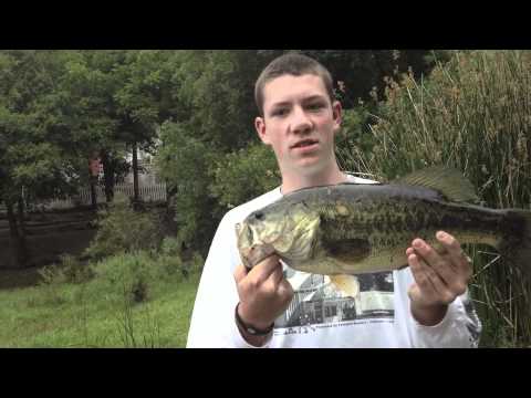 6 Pound Bass on FIRST CAST! - YouTube