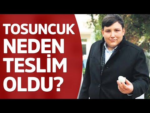 Tosuncuk neden teslim oldu?