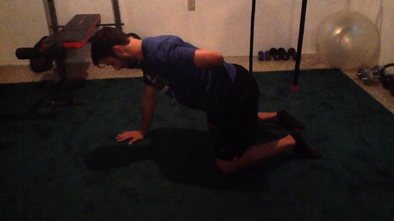 Quadruped Shoulder Internal Rotation - YouTube