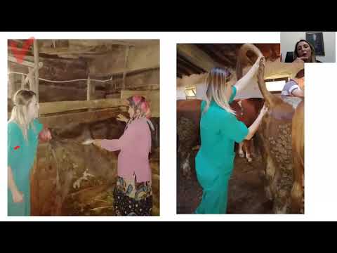 ''GELECEKTEKİ SEN ''  DR.GÜL BANU ÇİÇEK BİDECİ