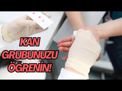 Kan Grubunuzu Hızla Öğrenin! Adım Adım Basit Yöntemler