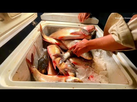 Al Ghazi Fish Dera Ismail Khan - YouTube