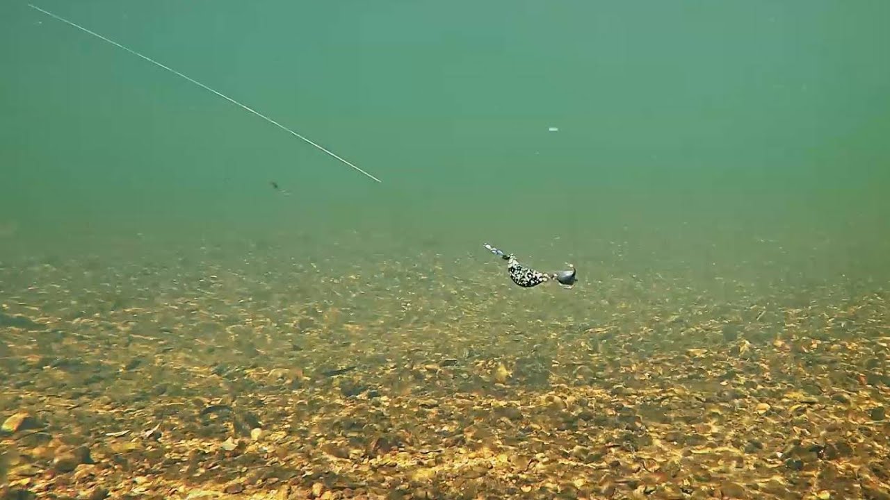 Зависание, сбрасывание и возвращение TUKA Kite : Chubby в исходную ...