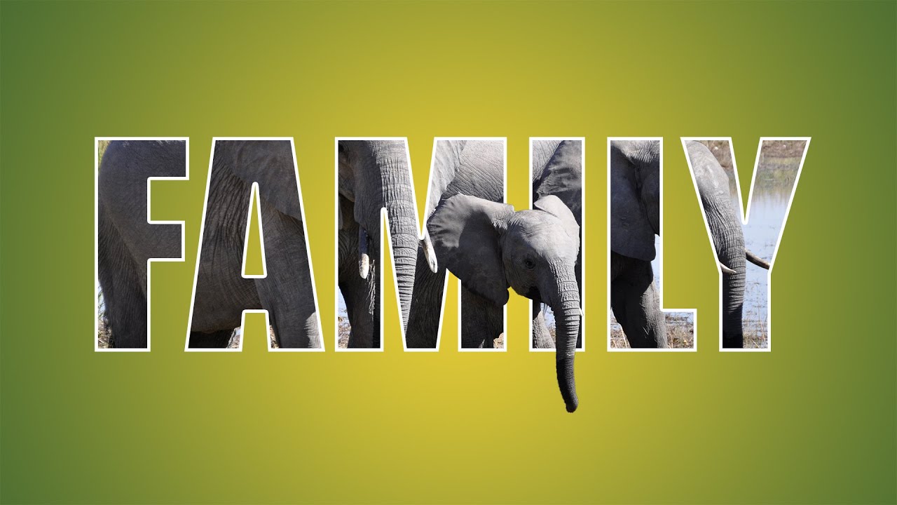 Photoshop Text Masking Effect YouTube photoshop-text-masking-effect-youtube
