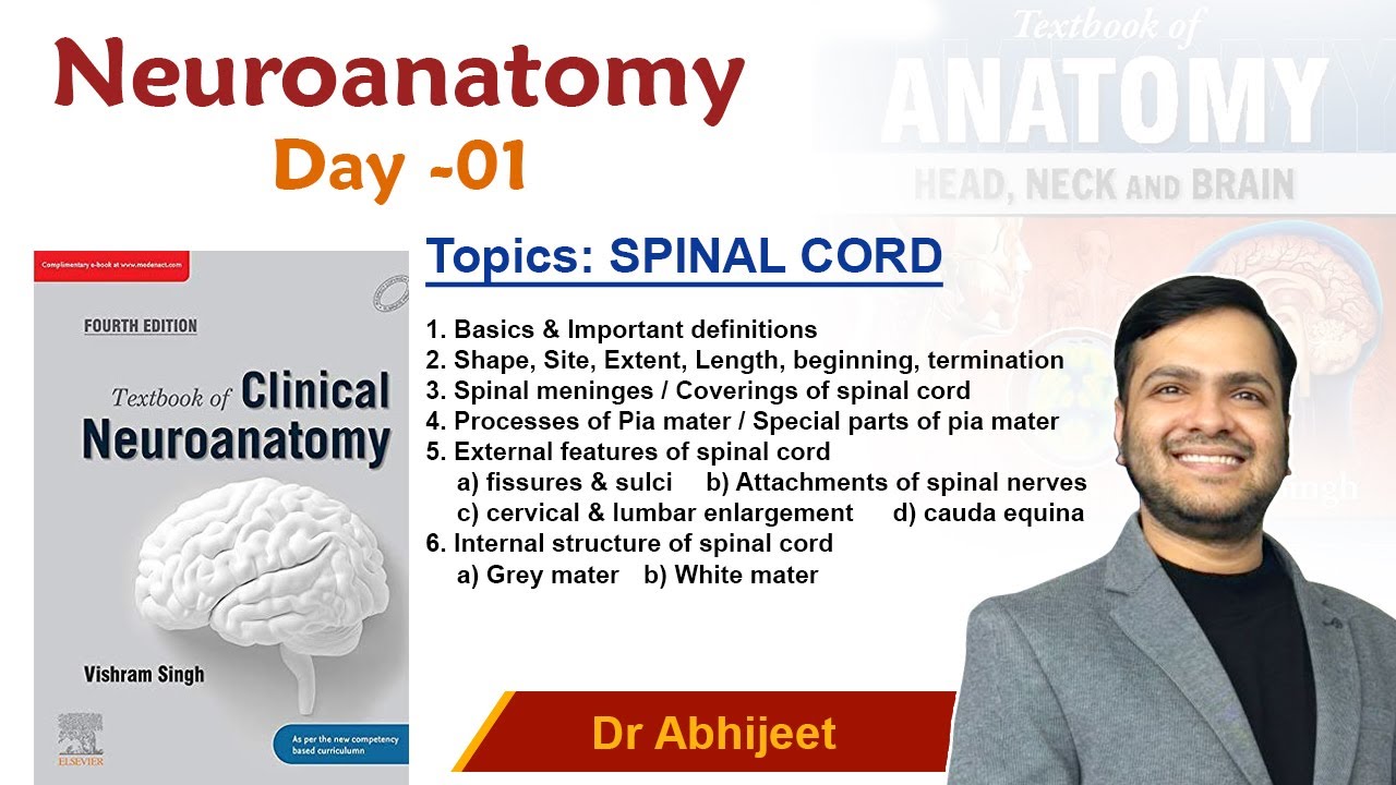 Neuroanatomy - Spinal Cord Gross Anatomy For Mbbs 1st Proff By Dr ...