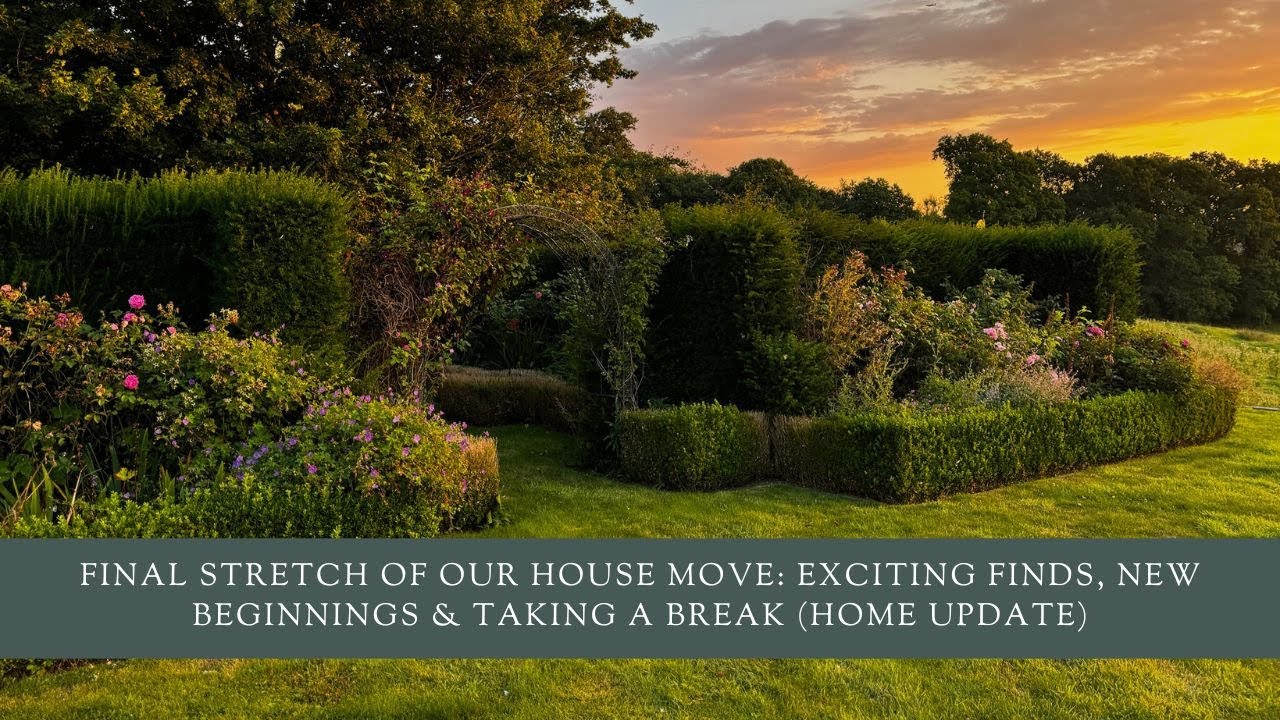 Final Stretch of Our House Move: Exciting Finds, New Beginnings ...