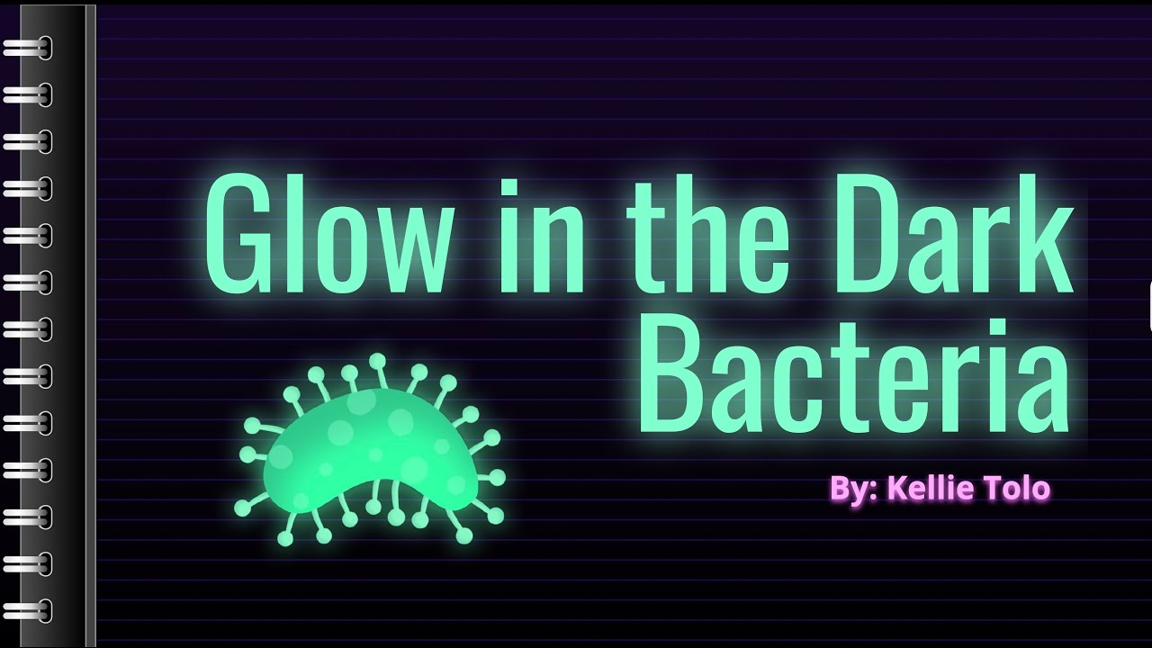 Glow in the Dark Bacteria - YouTube