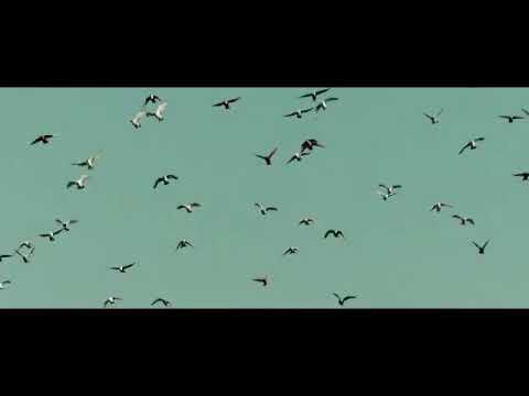 bırakma beni fragman  gizligölge BEŞİR DERNEGİ