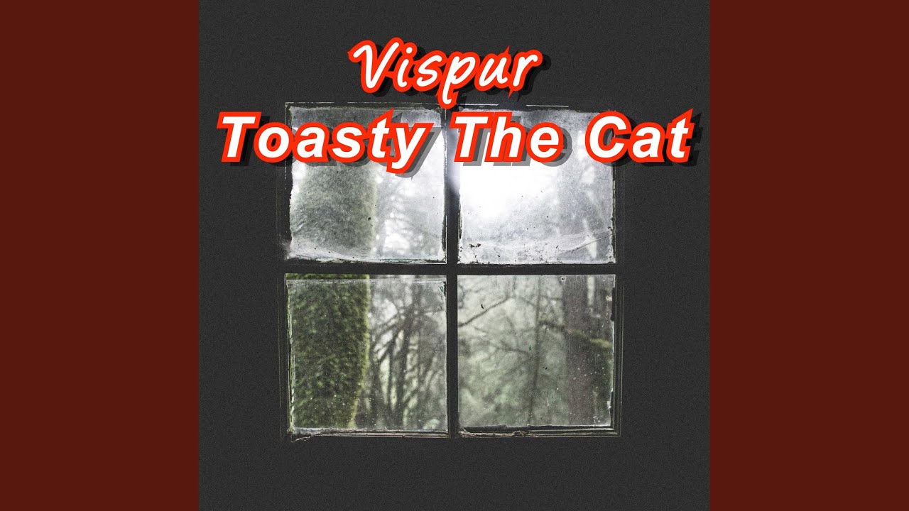 Toasty the Cat - YouTube