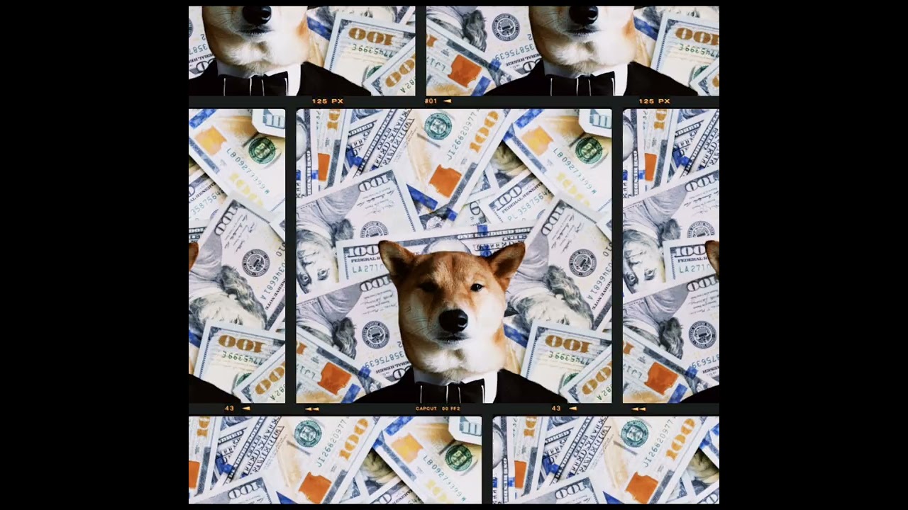 Doge rap - YouTube