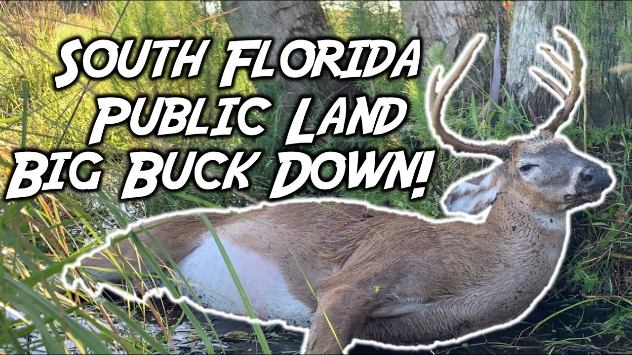 Two South Florida PUBLIC LAND ARCHERY BUCKS in one weekend (SNS 2021 #8 ...
