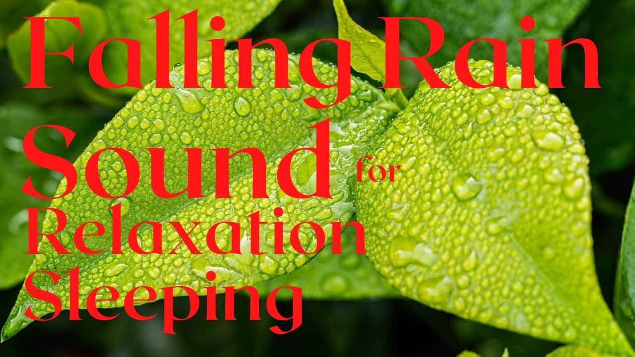 Falling Rain Sound for Sleeping ,Relaxation and Focus - YouTube