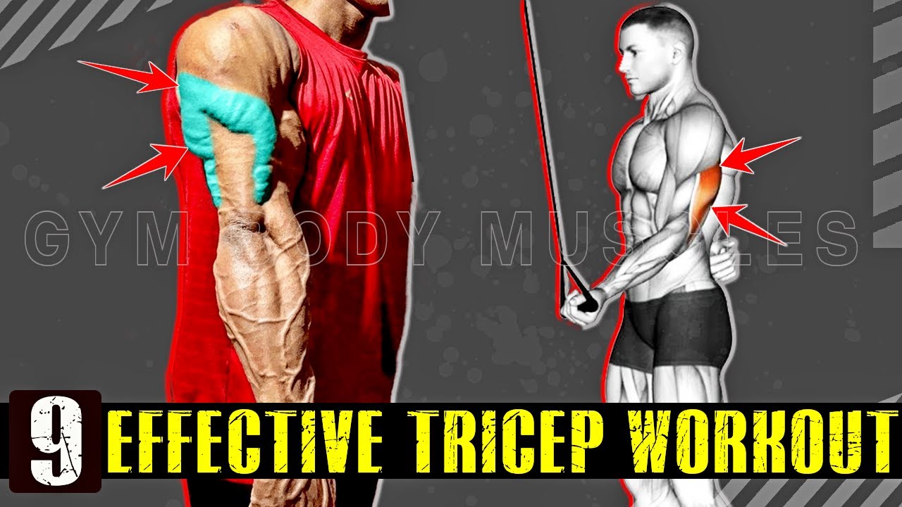 9 Effective Tricep Workout for Big Arms - Gym Body Muscles - YouTube