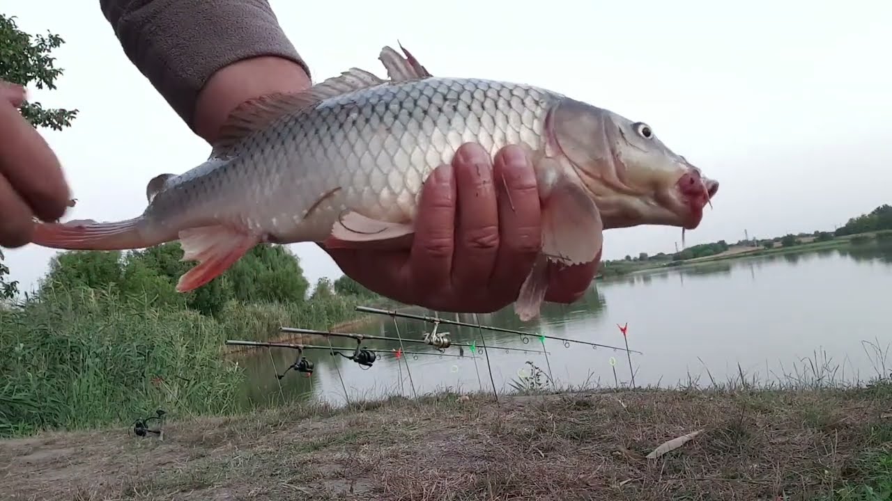 MICII TRUCURI LA PESCUIT ! - YouTube