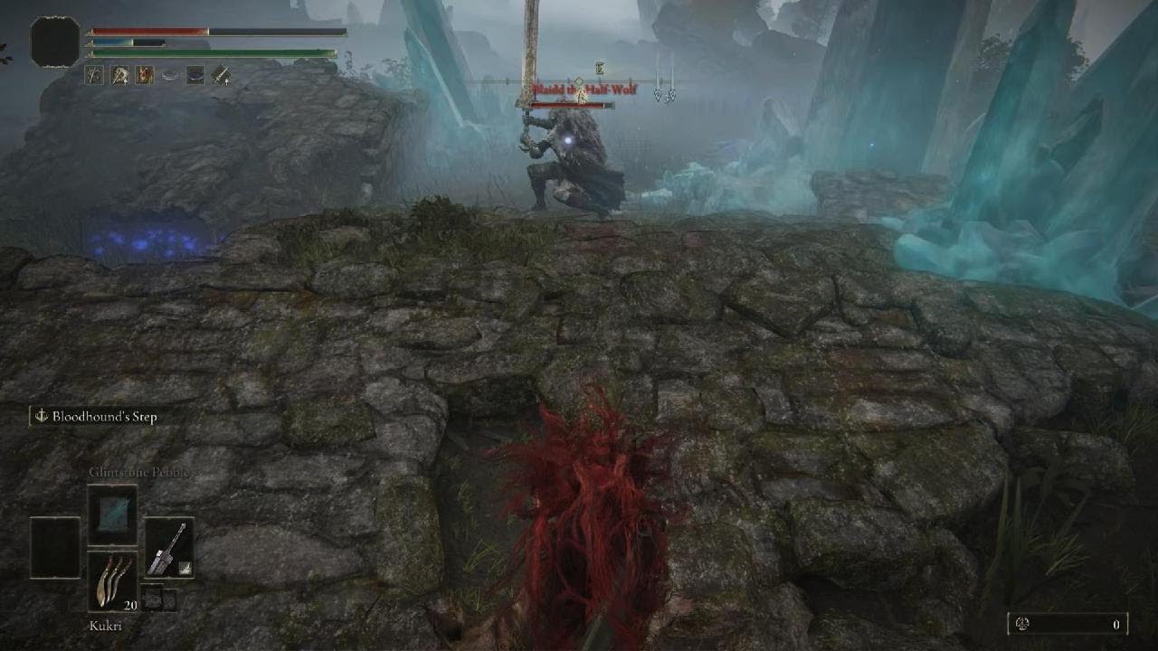 ELDEN RING Black Siegfried Vs Blaidd Half Wolf (AKA Guts Berserk Armor ...