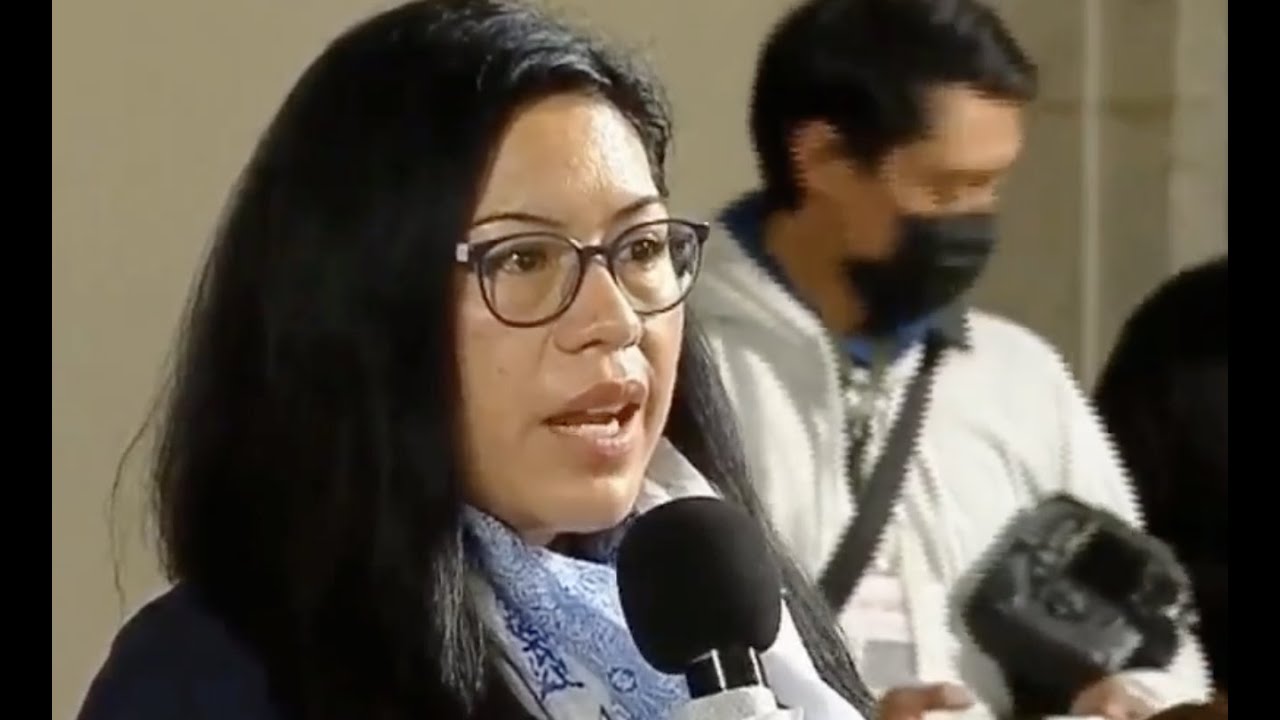 NANCY FLORES EXPLICA DESESPERACIÓN A LA QUE SE ENFRENTAN LOS CONSEJEROS ...