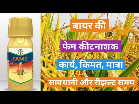 Bayer fame insecticide | fame is better than coragen - YouTube