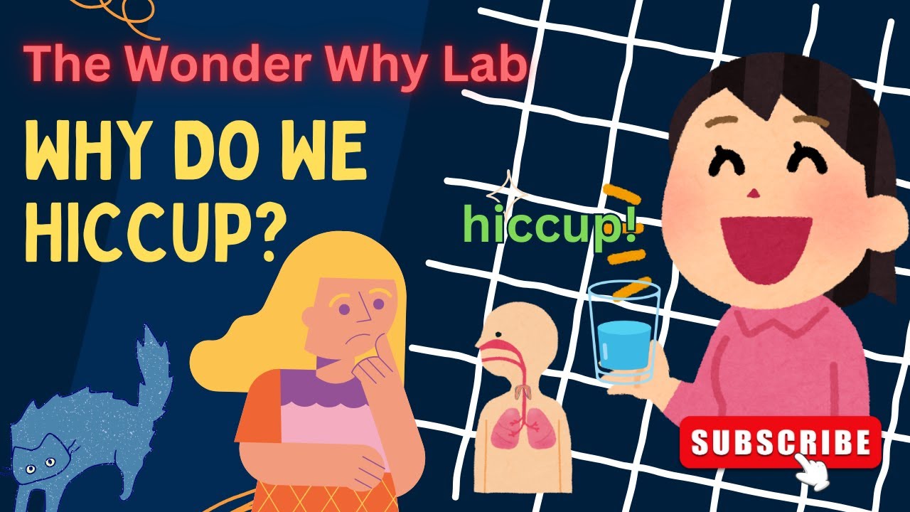 Science for Kids: Why Do We Hiccup? | The Wonder Why Lab - YouTube
