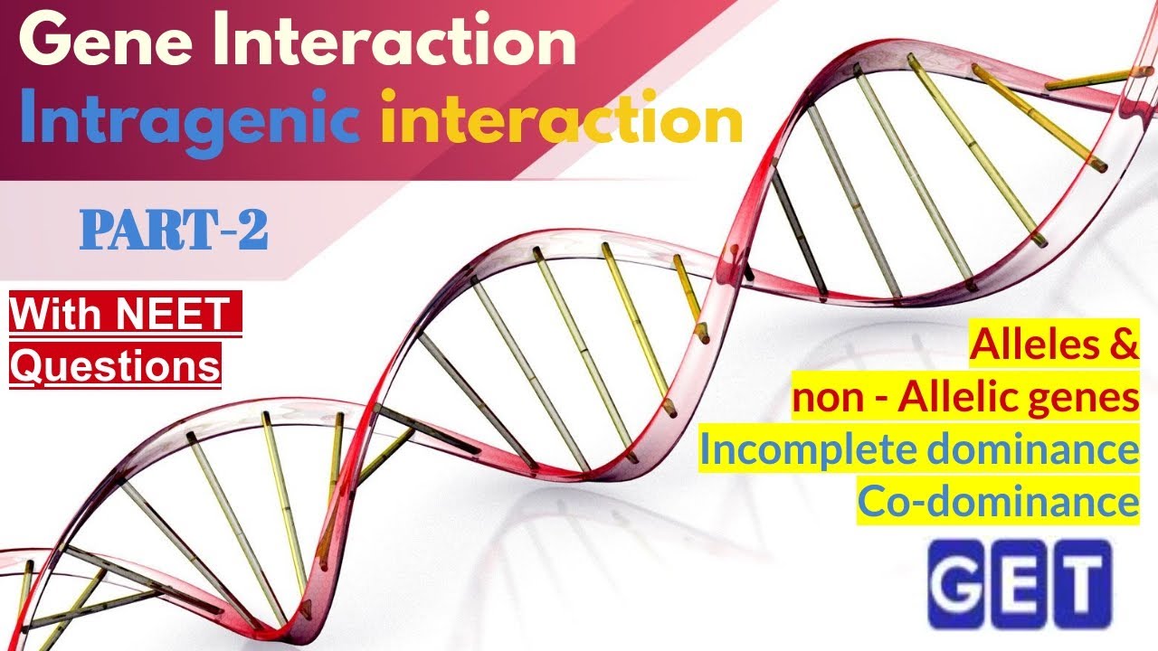 Gene Interaction | Intragenic interaction | Principles of Inheritance ...