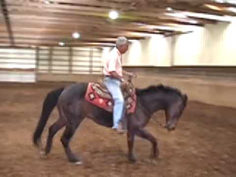 Hank Clason Trained Horse - YouTube