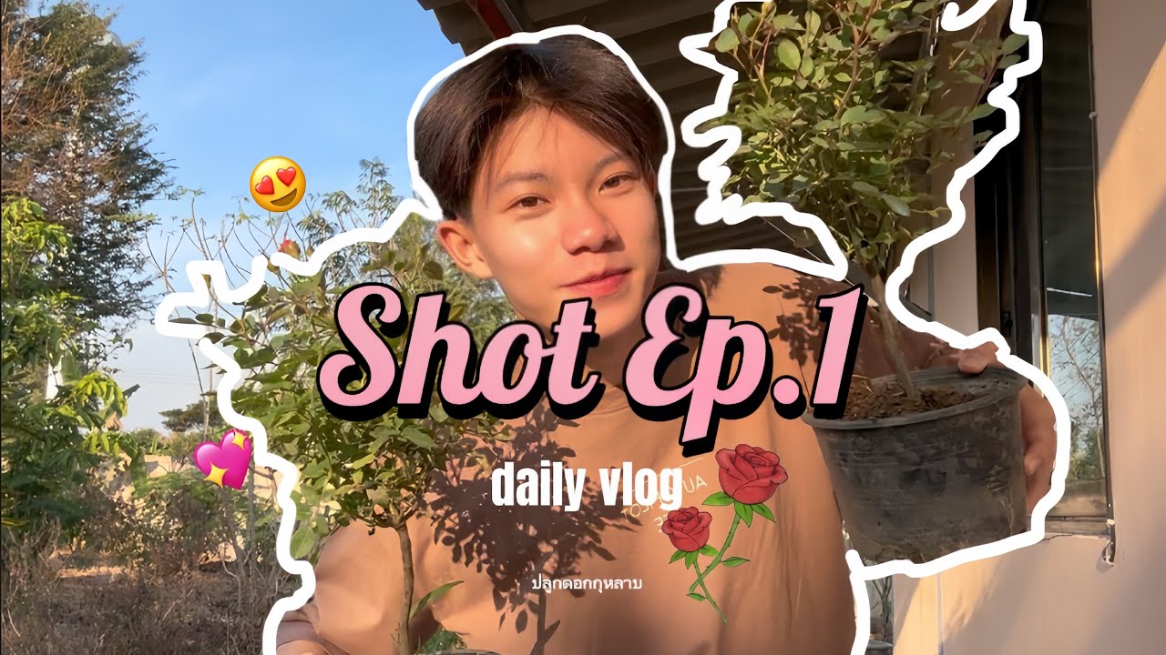 “มือใหม่หัดปลูกกุหลาบ🌹🪴 | Daily Vlog EP.1” Shot1 - YouTube