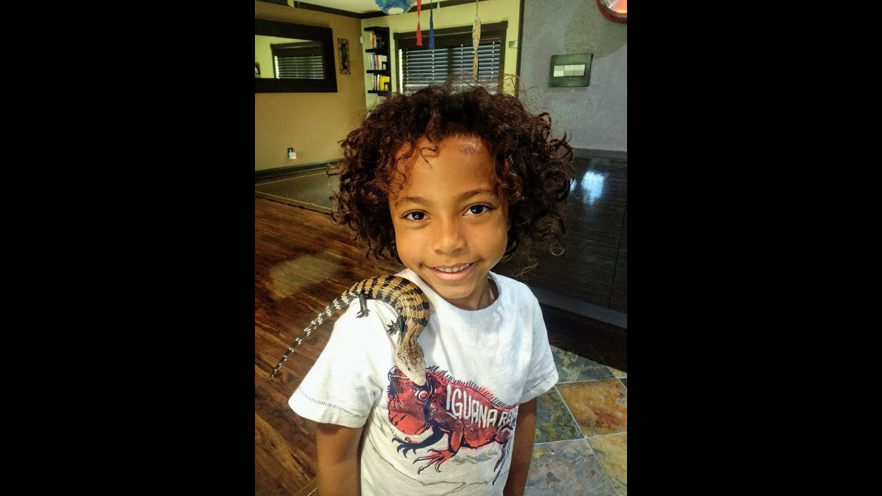 Matthew feeds his lizard. - YouTube