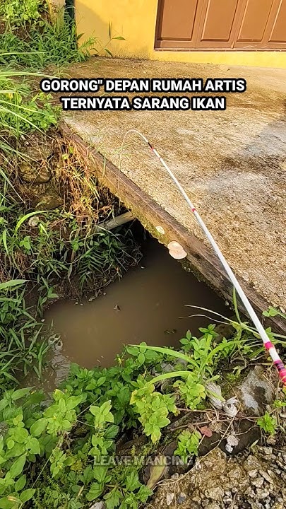 mancing di gorong gorong depan rumah artis - YouTube