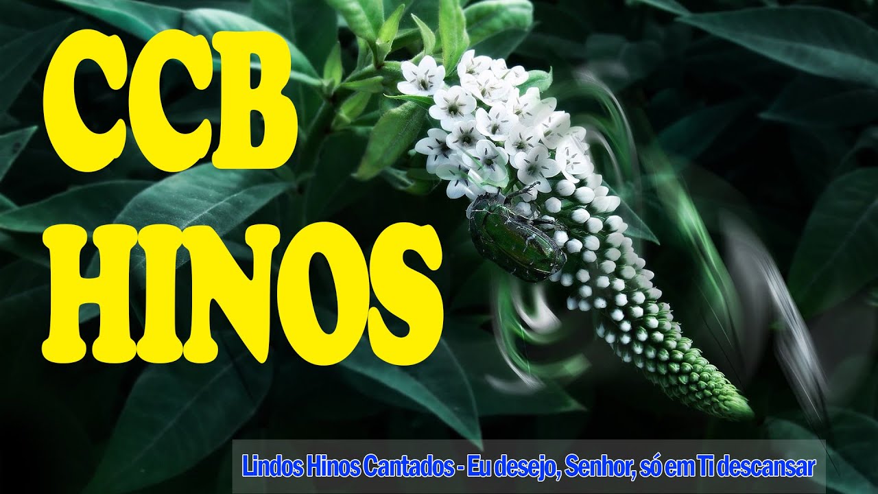 Hinos Ccb 2020 Congregação Cristã No Brasil A Melhor Música De Oração ...