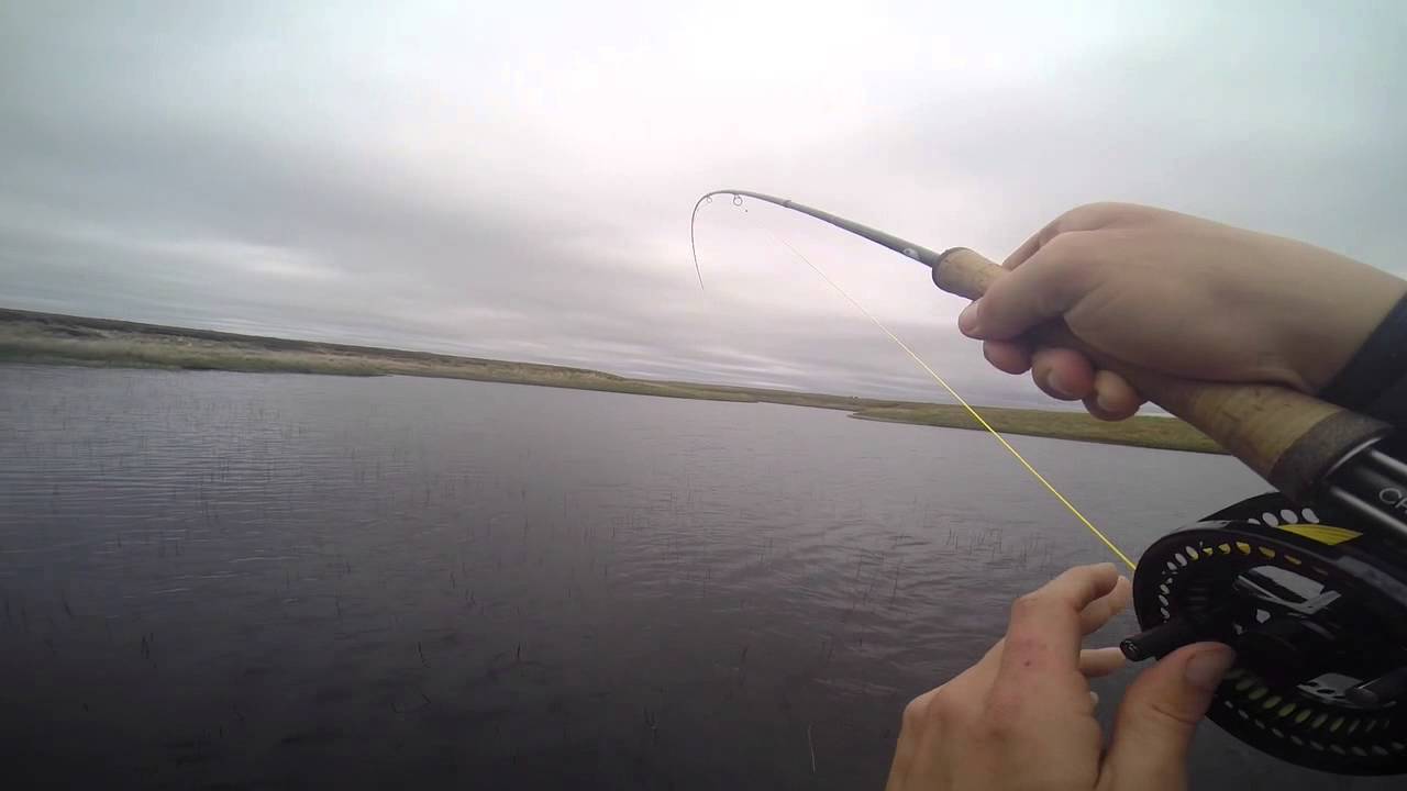 June Salmon On The Thurso - YouTube