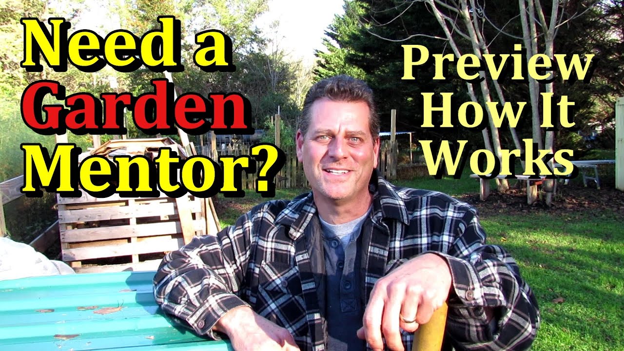 Learn How to Grow Food With a Garden Mentor (Join My Perk Membership $3.99 Mentoring Q &A) - YouTube